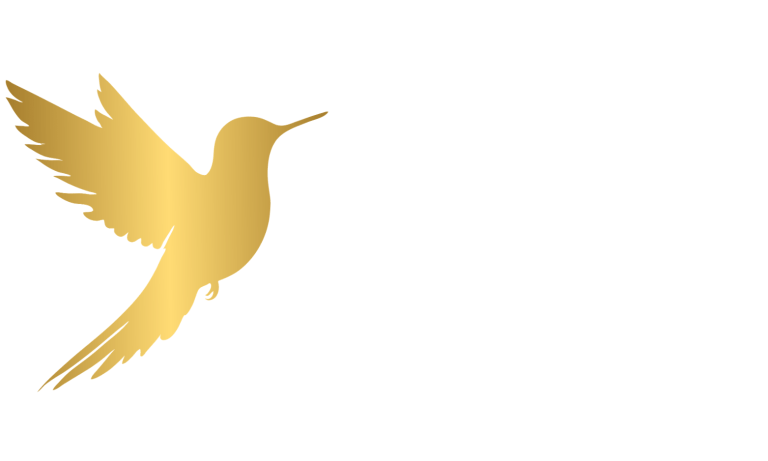 Annual Members' Meeting - NVC